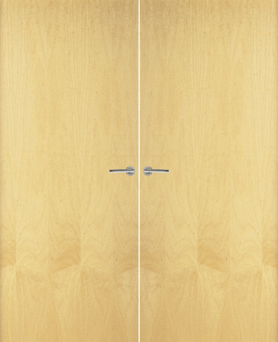 Ash Veneer Non Glazed Pair FD30 Internal Fire Door – Vizat Doors